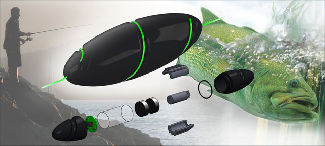 Vibrating Fish Attractor